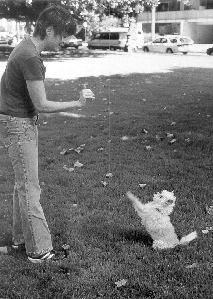 Training Dogs with Hand Signals - Whole Dog Journal