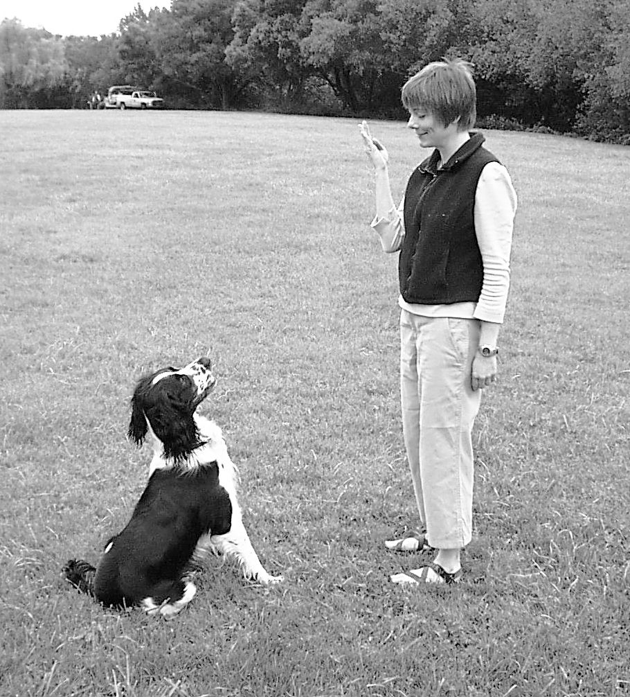 Advanced Dog Training Methods: How to "Fade" Prompts and Lures - Whole ...