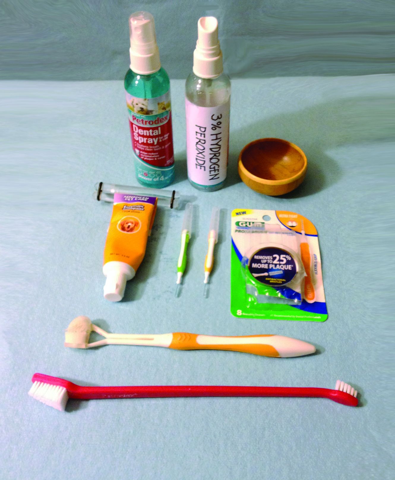 Save Your Dog's Teeth with Home Care - Whole Dog Journal