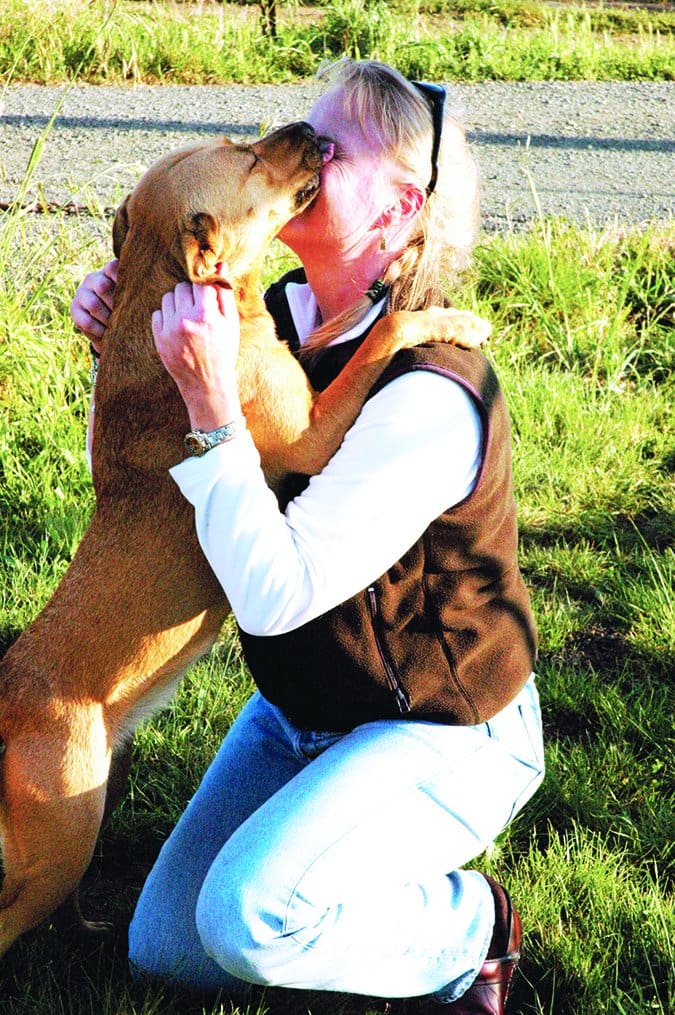 How to Teach Your Dog to Greet Nicely - Whole Dog Journal