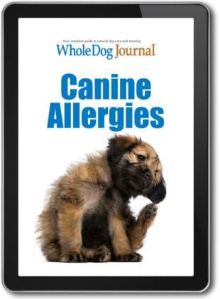 Canine Allergies - Whole Dog Journal