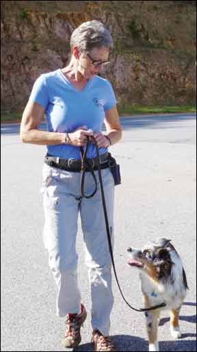 How to Teach Loose Leash Walking to Your Dog - Whole Dog Journal
