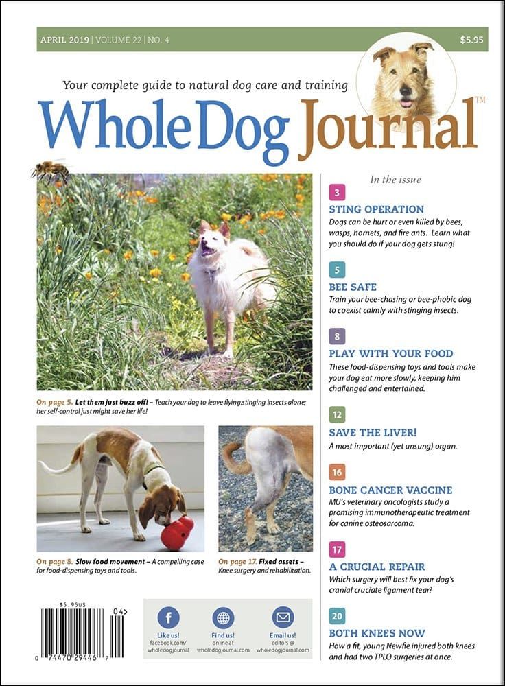 Download the Full April 2019 Issue PDF - Whole Dog Journal