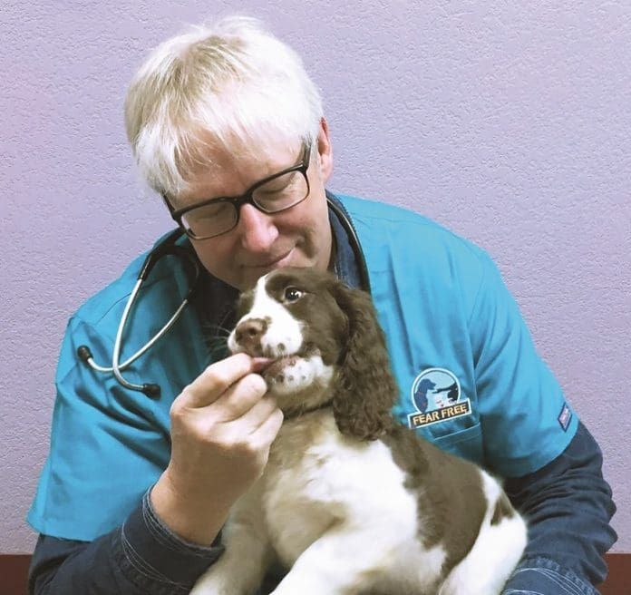 Fear Free Veterinary Care - Whole Dog Journal