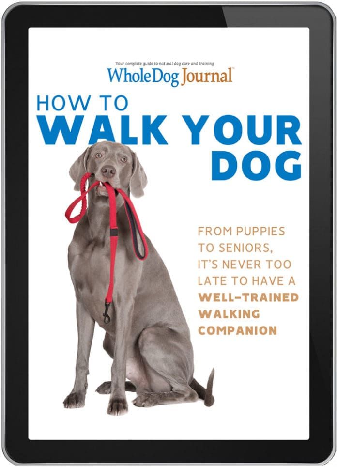 How to Walk Your Dog - Whole Dog Journal
