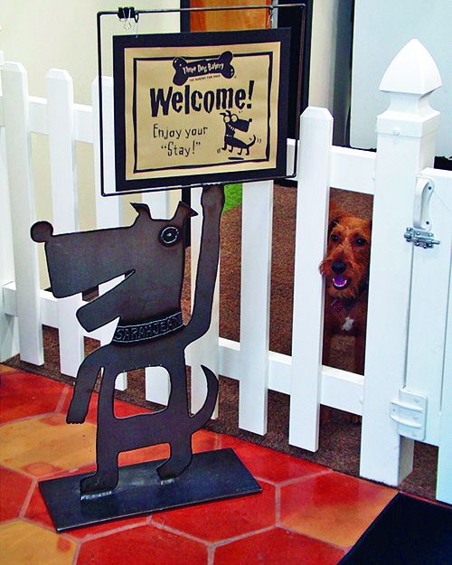 Dogs in the Workplace - Whole Dog Journal