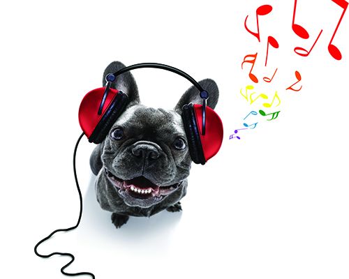 Audio Products for Sound Conditioning Your Dog - Whole Dog Journal