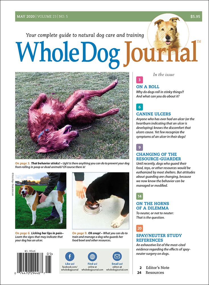 Download the Full May 2020 Issue PDF - Whole Dog Journal