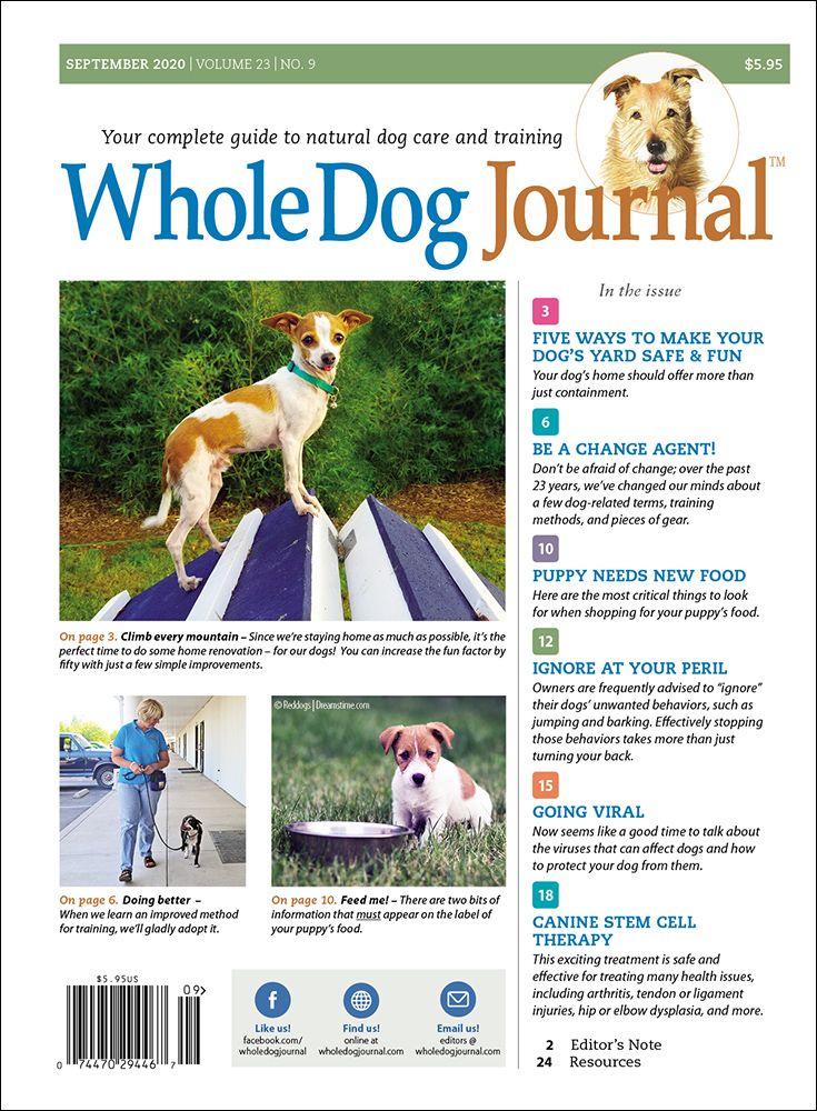 Download The Full September 2020 Issue PDF - Whole Dog Journal