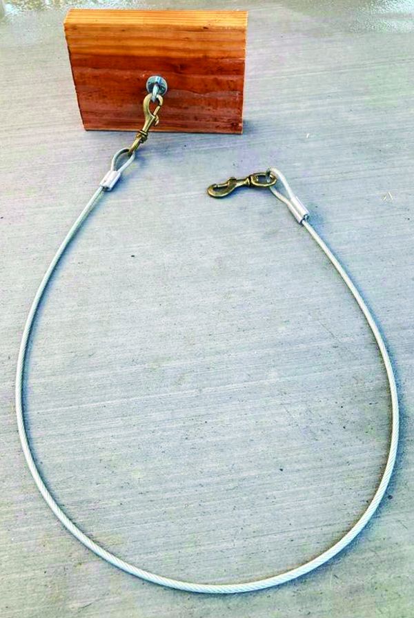 Tethered for Success: The Do's and Don'ts of Dog Tethers - Whole Dog ...