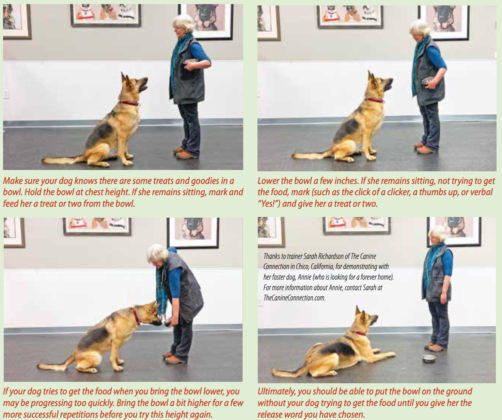 Dog House Rules - Whole Dog Journal