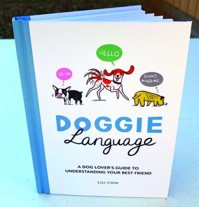 Whole Dog Journal Product Review: 2020 Dog Gear of The Year - Whole Dog ...