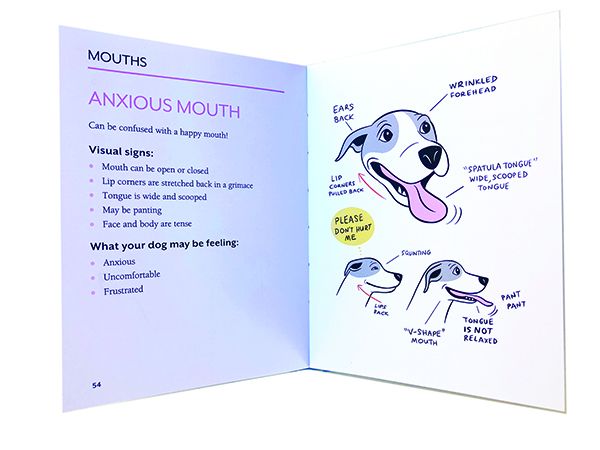 Whole Dog Journal Product Review: 2020 Dog Gear of The Year - Whole Dog ...