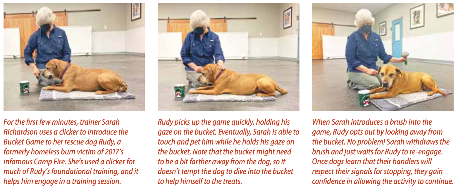 Cooperative Care for Dogs: Giving Your Dog Choice and Control - Whole ...