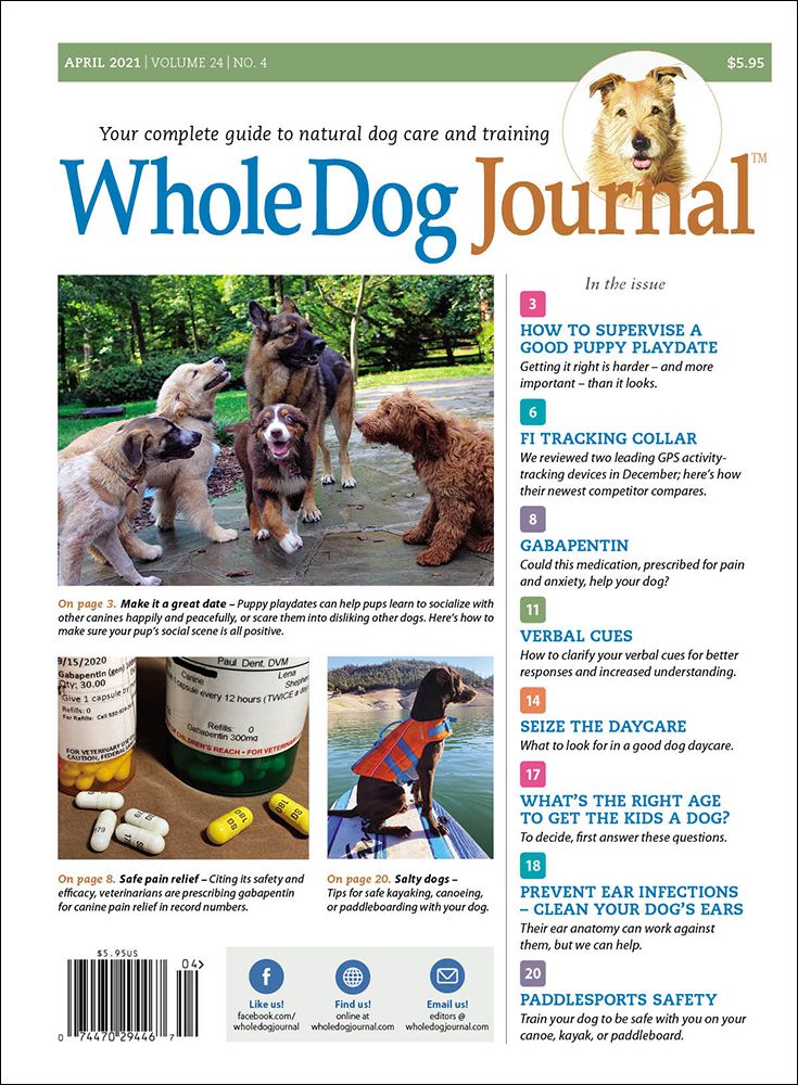 Download The Full April 2021 Issue PDF - Whole Dog Journal