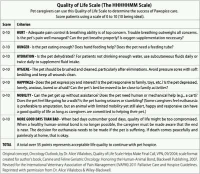 Help with Palliative or Hospice Care for Your Dog - Whole Dog Journal