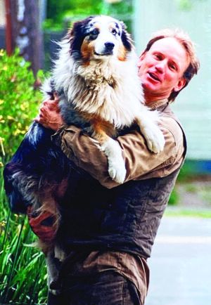 How To Properly Pick Up Your Dog - Whole Dog Journal
