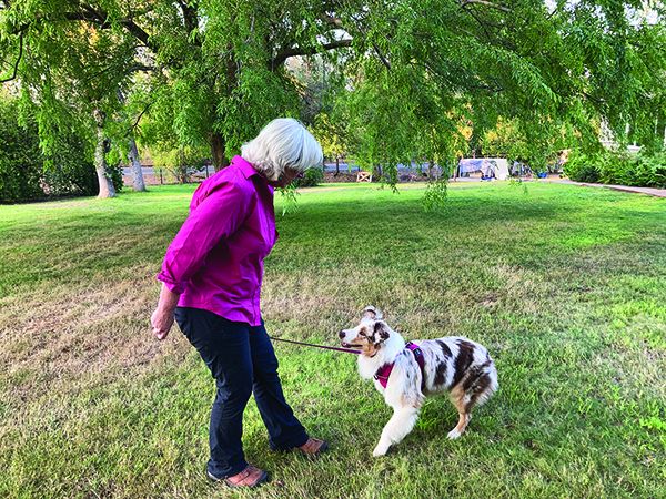 Tactical Extraction: Leash Pressure Dog Training - Whole Dog Journal