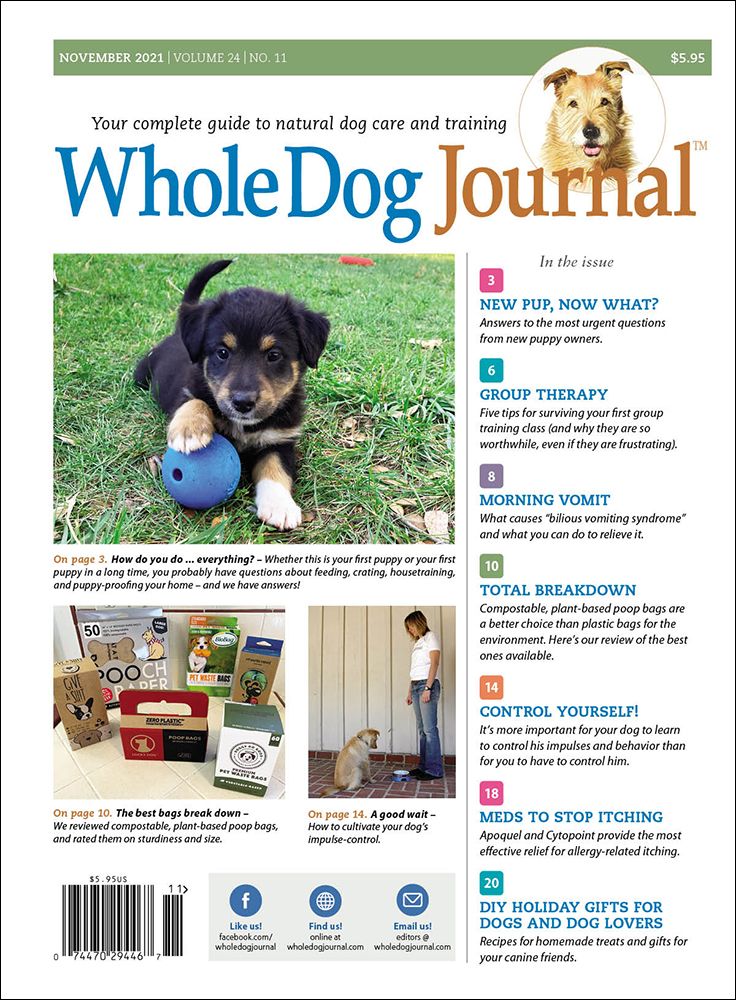 Download The Full November 2021 Issue PDF - Whole Dog Journal