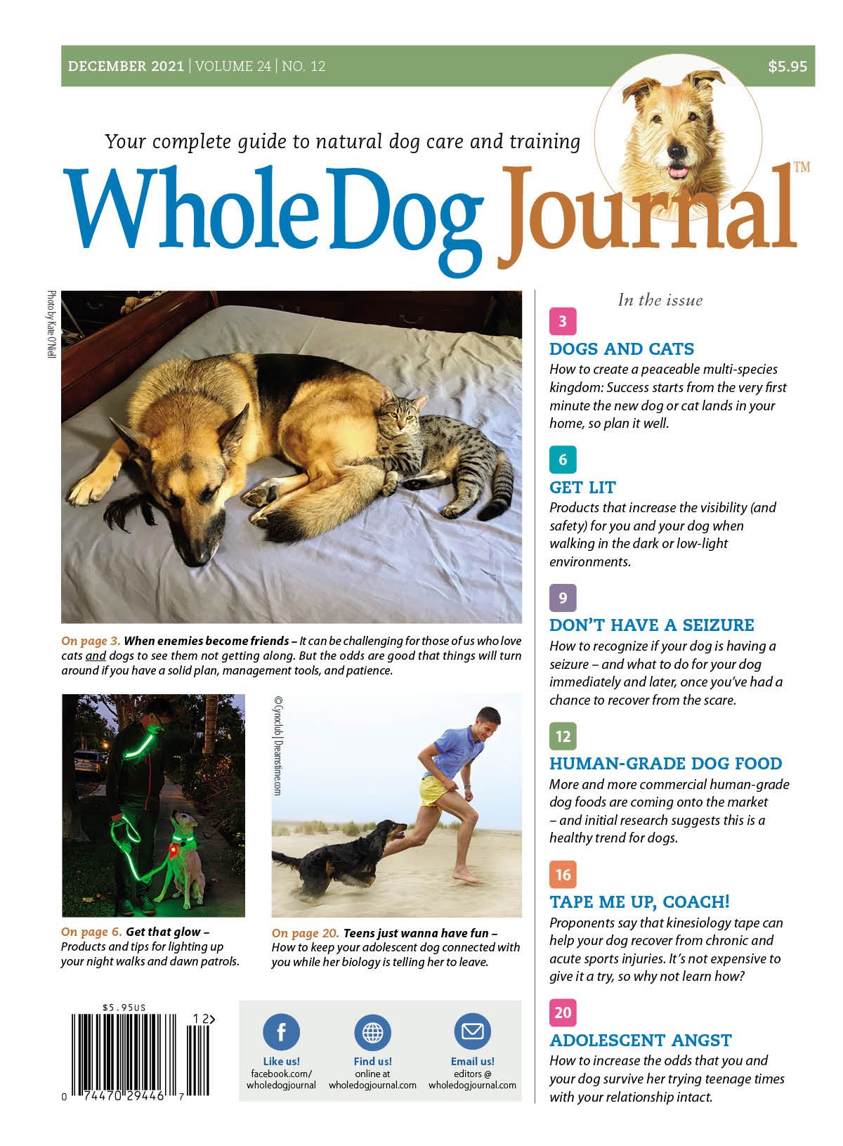 Download The Full December 2021 Issue PDF - Whole Dog Journal