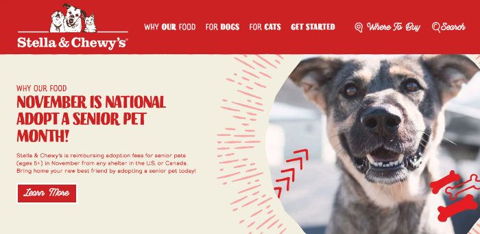 Adopt a Senior Pet Month - Whole Dog Journal