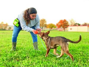 How to Teach a Dog Recall | Dog Recall Training