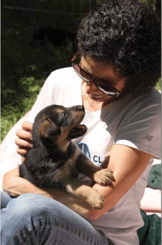 How to Pick Up a Puppy | How to Hold a Puppy