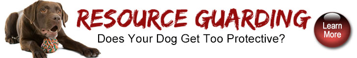 Is Some Resource Guarding Normal? - Whole Dog Journal