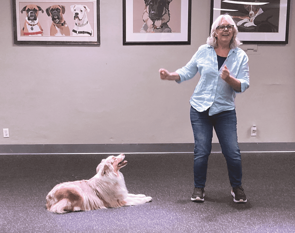 How to Teach a Dog to Stay - Whole Dog Journal