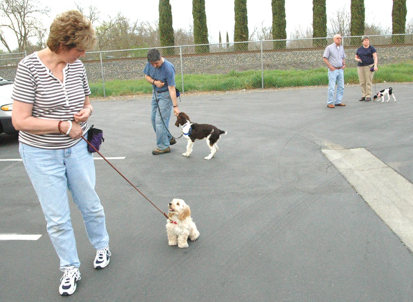 Dog Training for Beginners - Whole Dog Journal