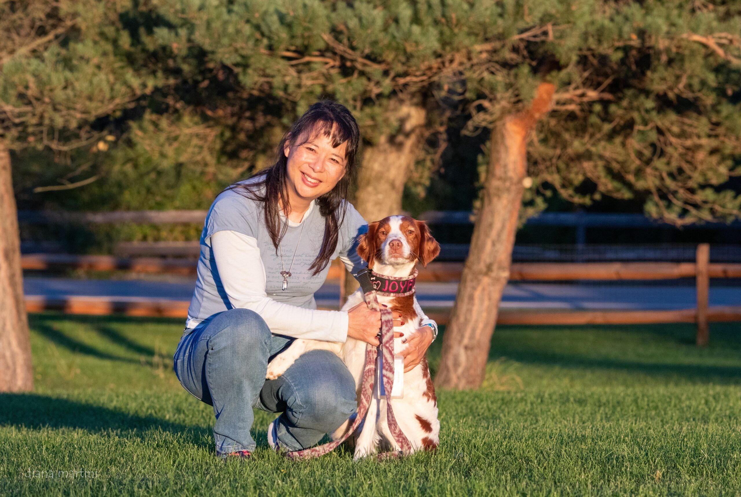 Dr. Andrea Lee, DVM, Author at Whole Dog Journal