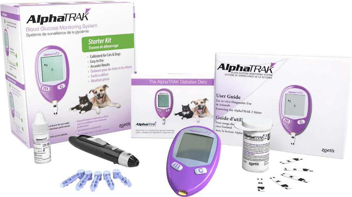 Diabetes in Dogs - Whole Dog Journal