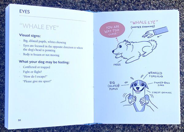 Buy This Book! - Whole Dog Journal