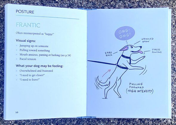 Buy This Book! - Whole Dog Journal