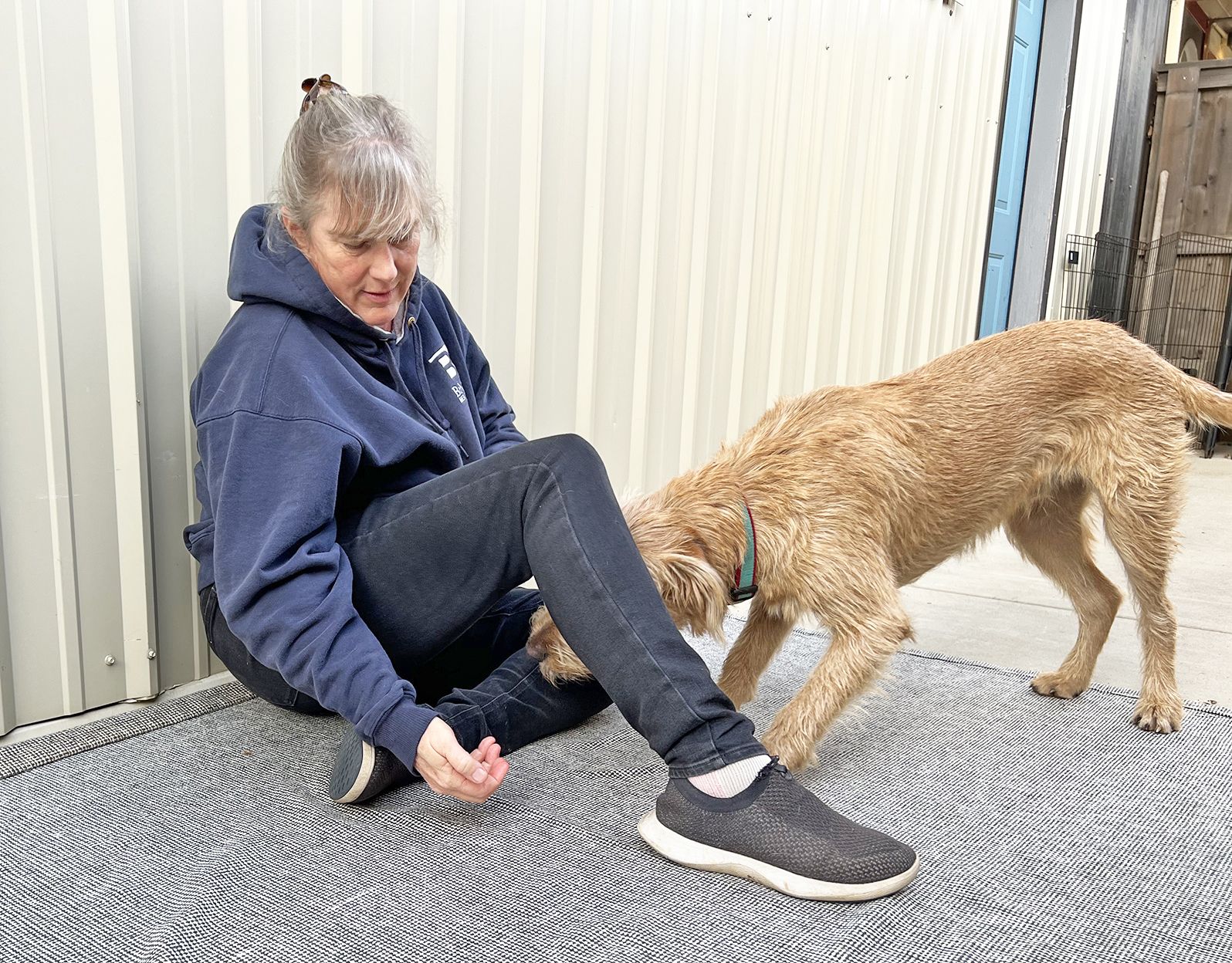 How to Teach Your Dog to Lie Down on Cue - Whole Dog Journal