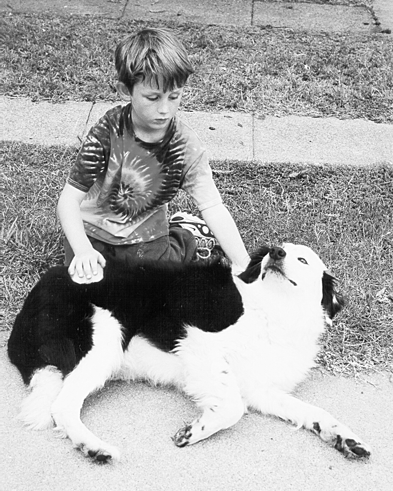 Dogs, Learning, and Love - Whole Dog Journal