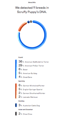 Recent News Report on Mixed-Breed Dog DNA Tests - Whole Dog Journal