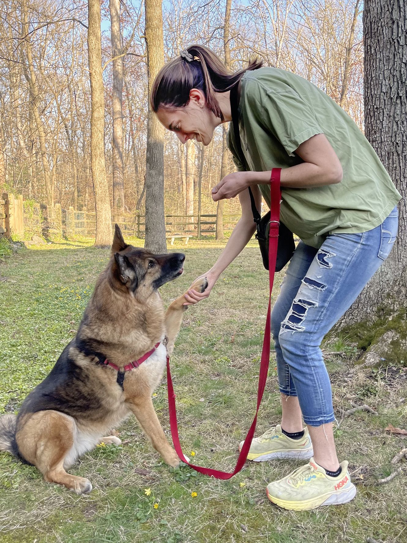 How to Socialize a Reactive Dog - Whole Dog Journal