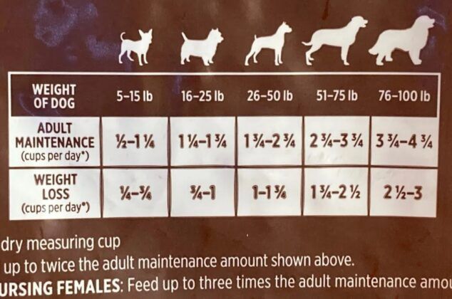 How Much Food to Feed a Dog - Whole Dog Journal