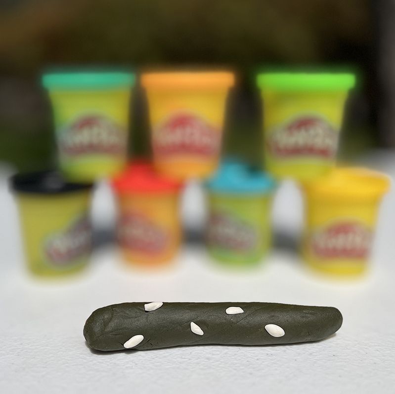 Is Your Dog's Poop a Weird Color? - Whole Dog Journal