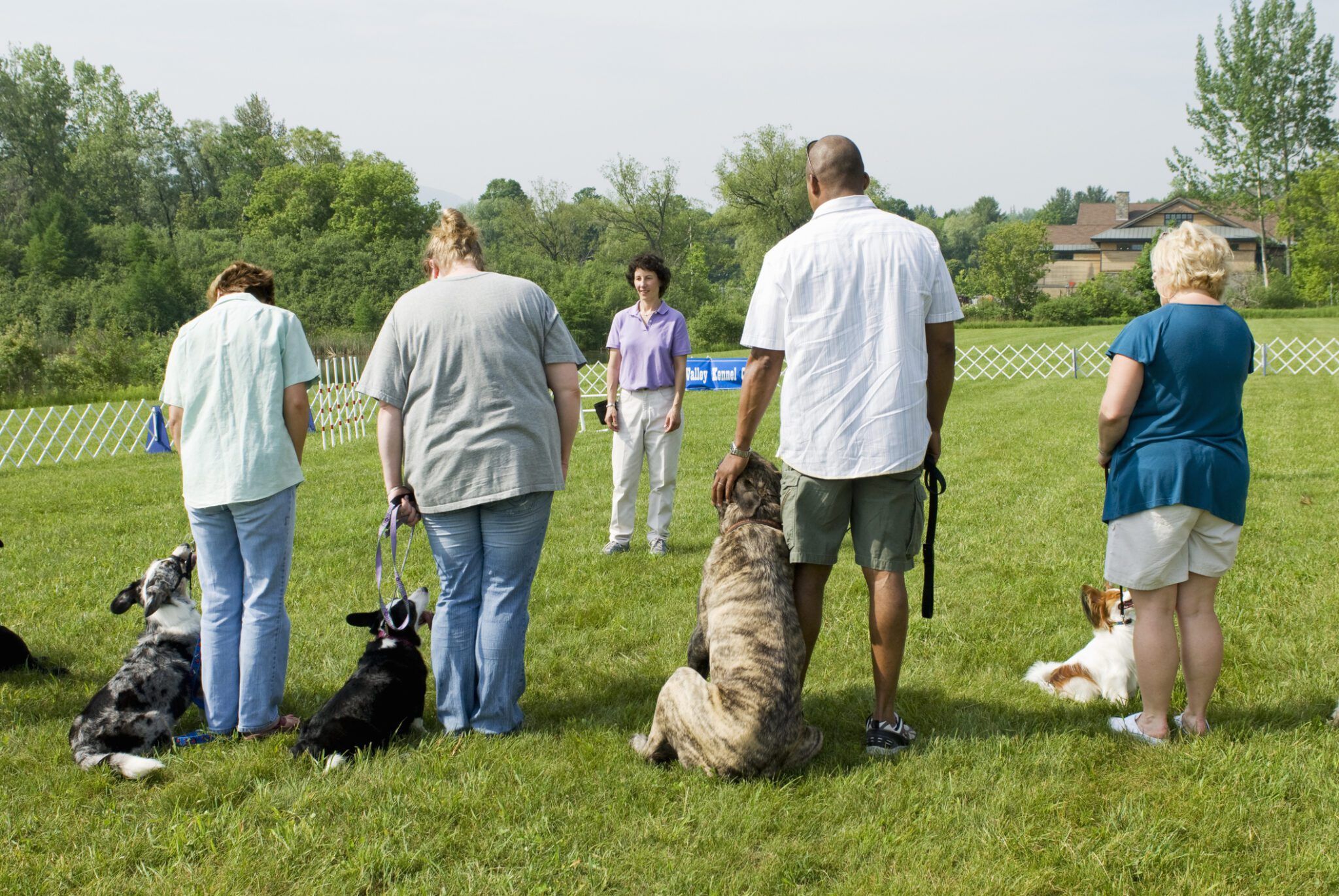 Find the Best Trainer for You and Your Dog - Whole Dog Journal