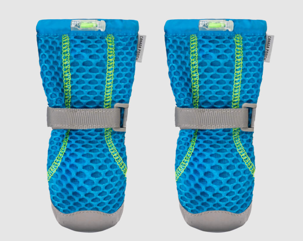 The Best Dog Shoes - Whole Dog Journal