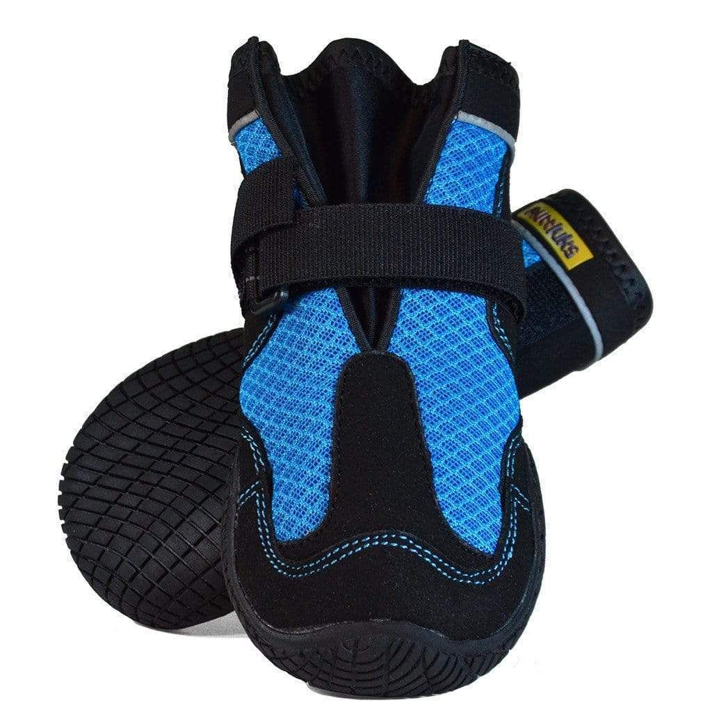 The Best Dog Shoes - Whole Dog Journal