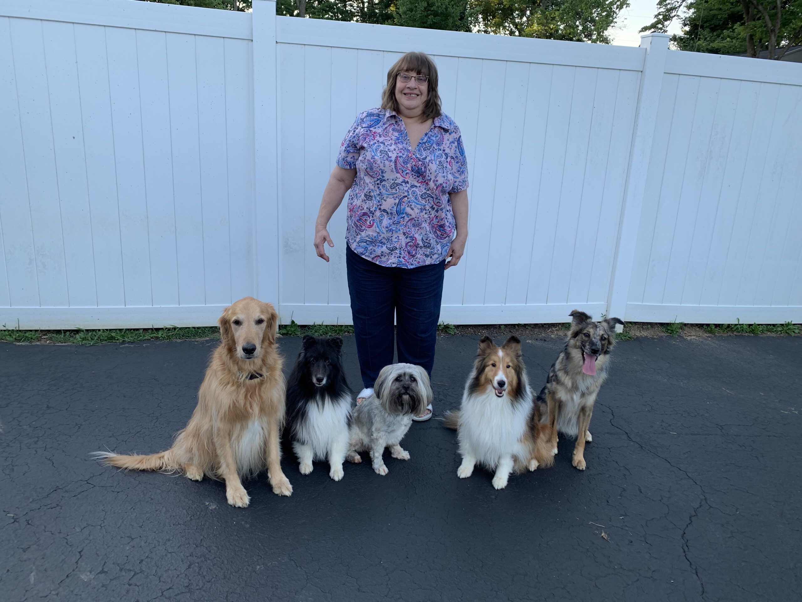 Debbie DeSantis, BAH, CPDT-KA, Author at Whole Dog Journal