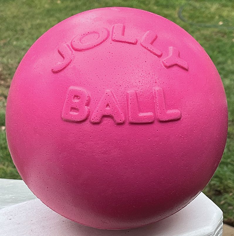 Herding Balls for Dogs - Whole Dog Journal