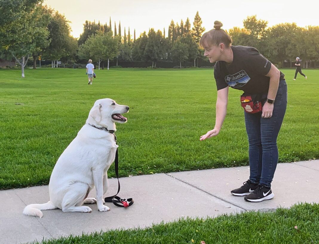 Dog Training Basics: How to Teach a Cue - Whole Dog Journal