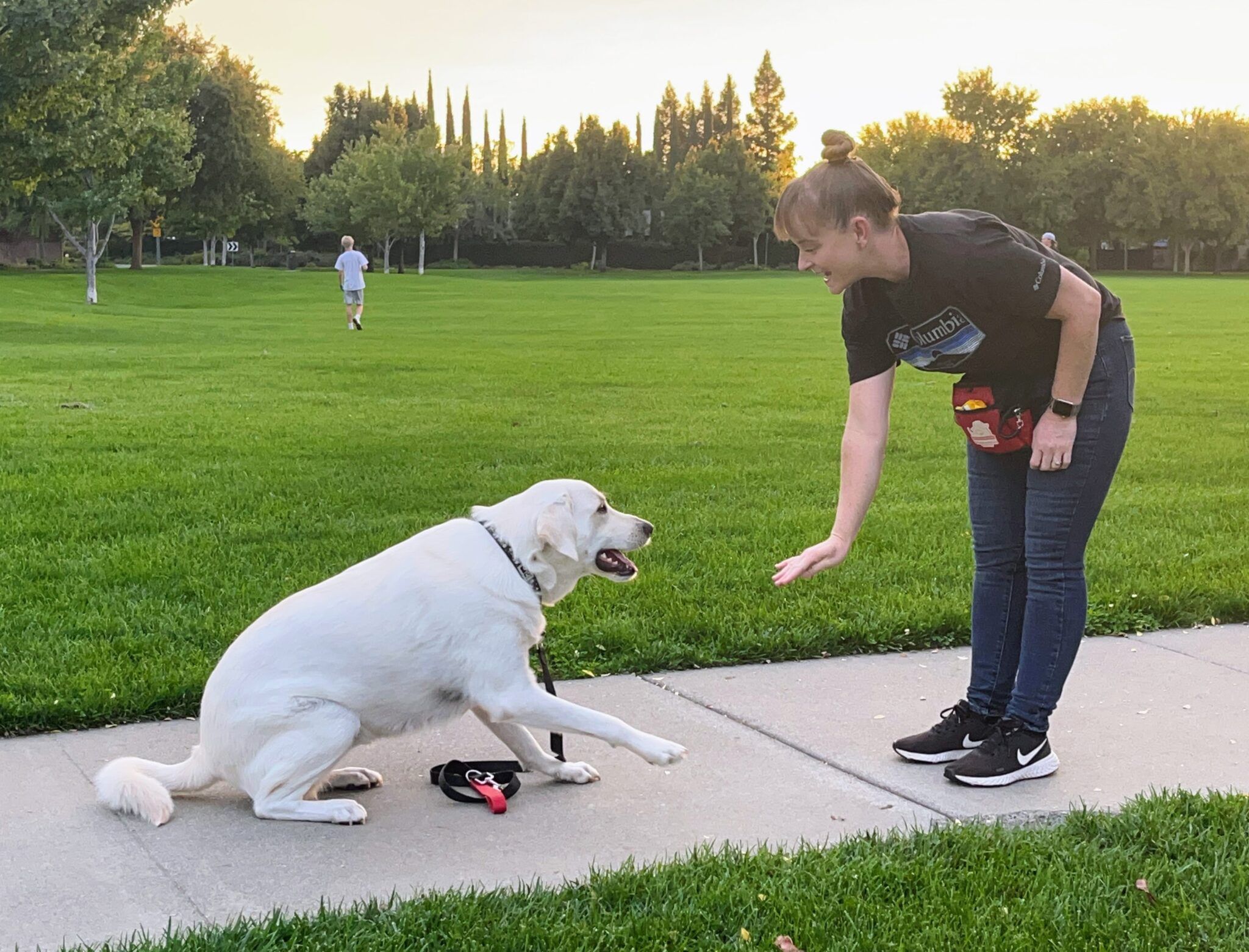 Dog Training Basics: How to Teach a Cue - Whole Dog Journal