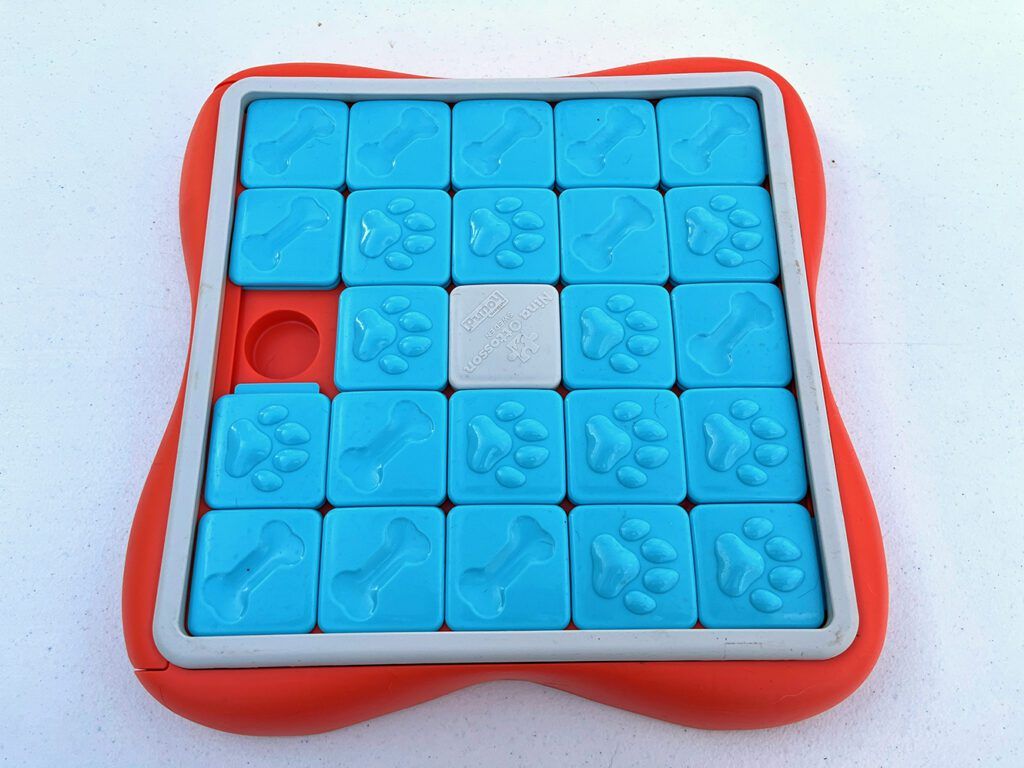 The Best Dog Puzzle Toys - Whole Dog Journal