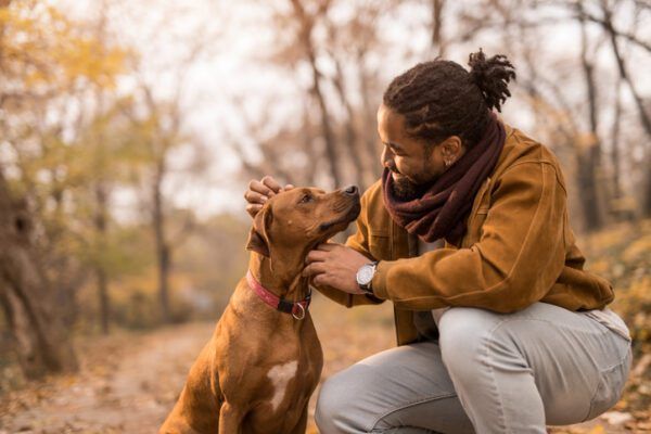 How to Show Your Dog You Love Them - Whole Dog Journal