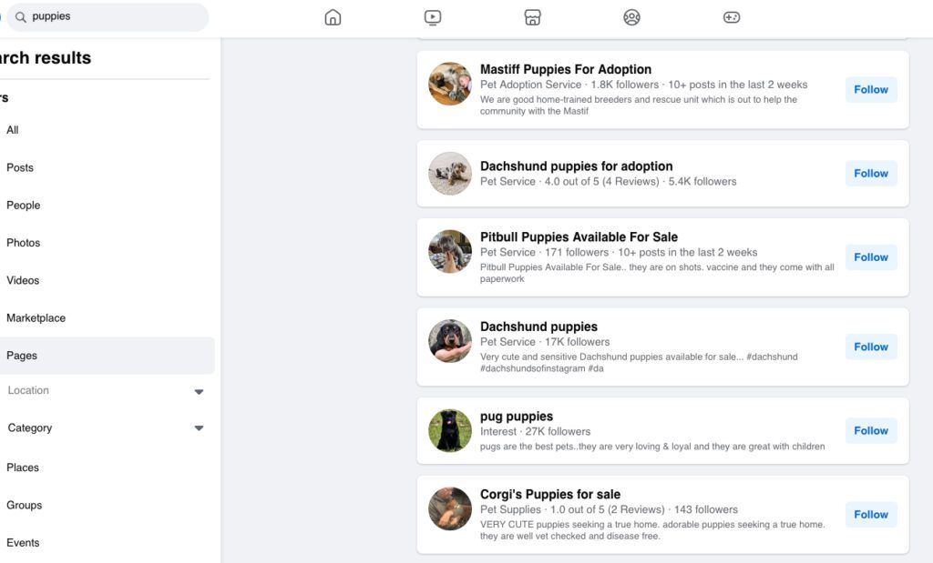 An Open Letter to Craigslist and Facebook: - Whole Dog Journal